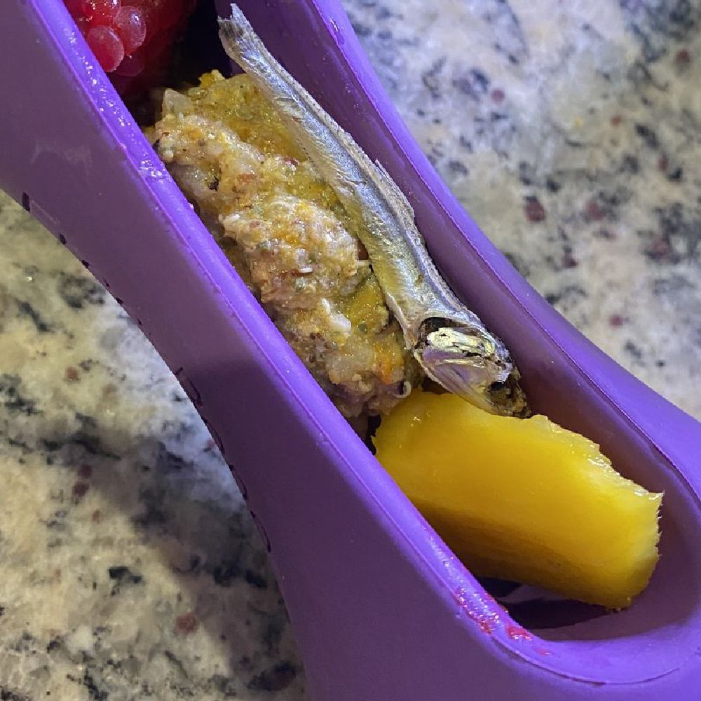 Order Freezbone For Dogs and Bone Treats Online - Freezbone – freezbone-uk